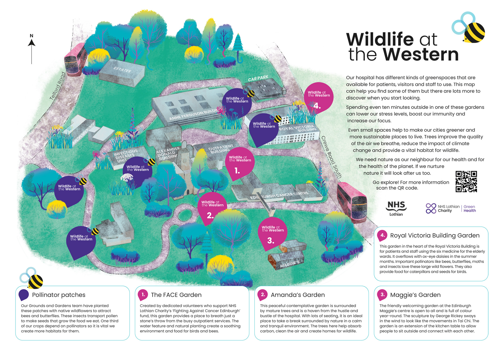 Wildlife at the Western - Green Health, NHS Lothian Charity