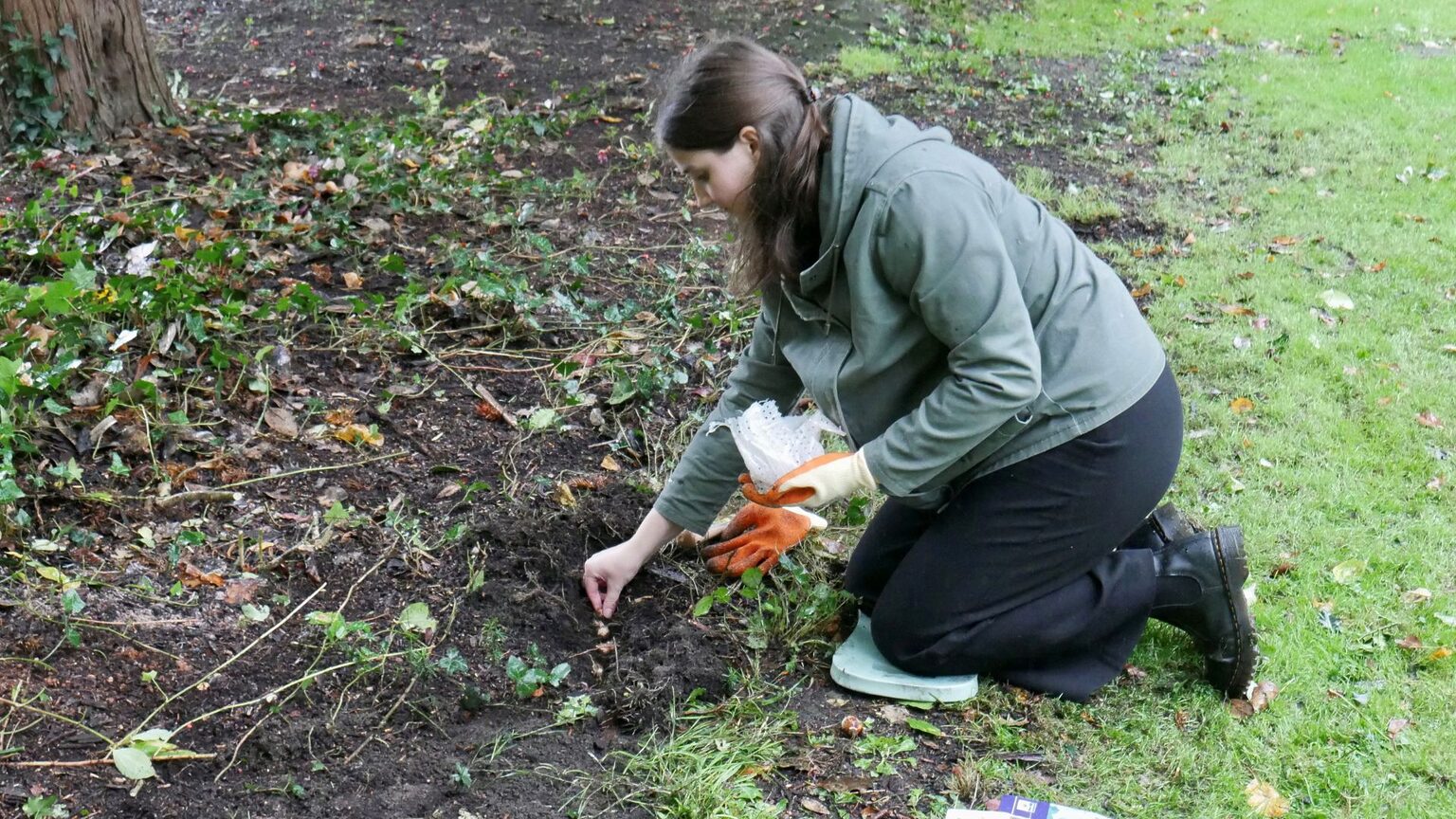 Nature Prescriptions at Western General Hospital - Green Health, NHS ...