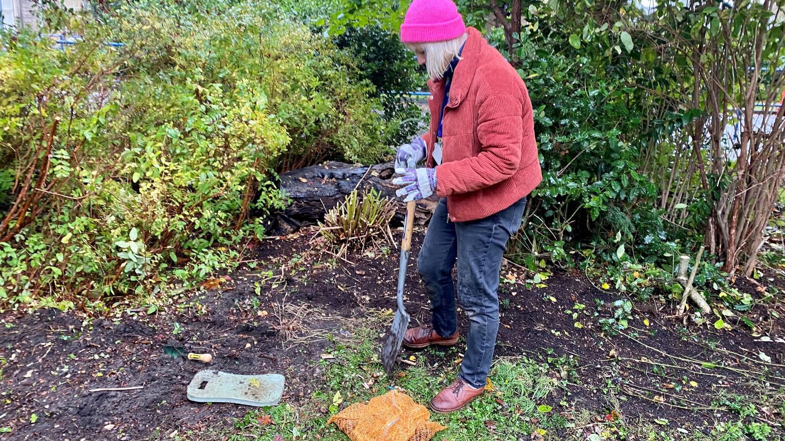 Nature Prescriptions at Western General Hospital - Green Health, NHS ...