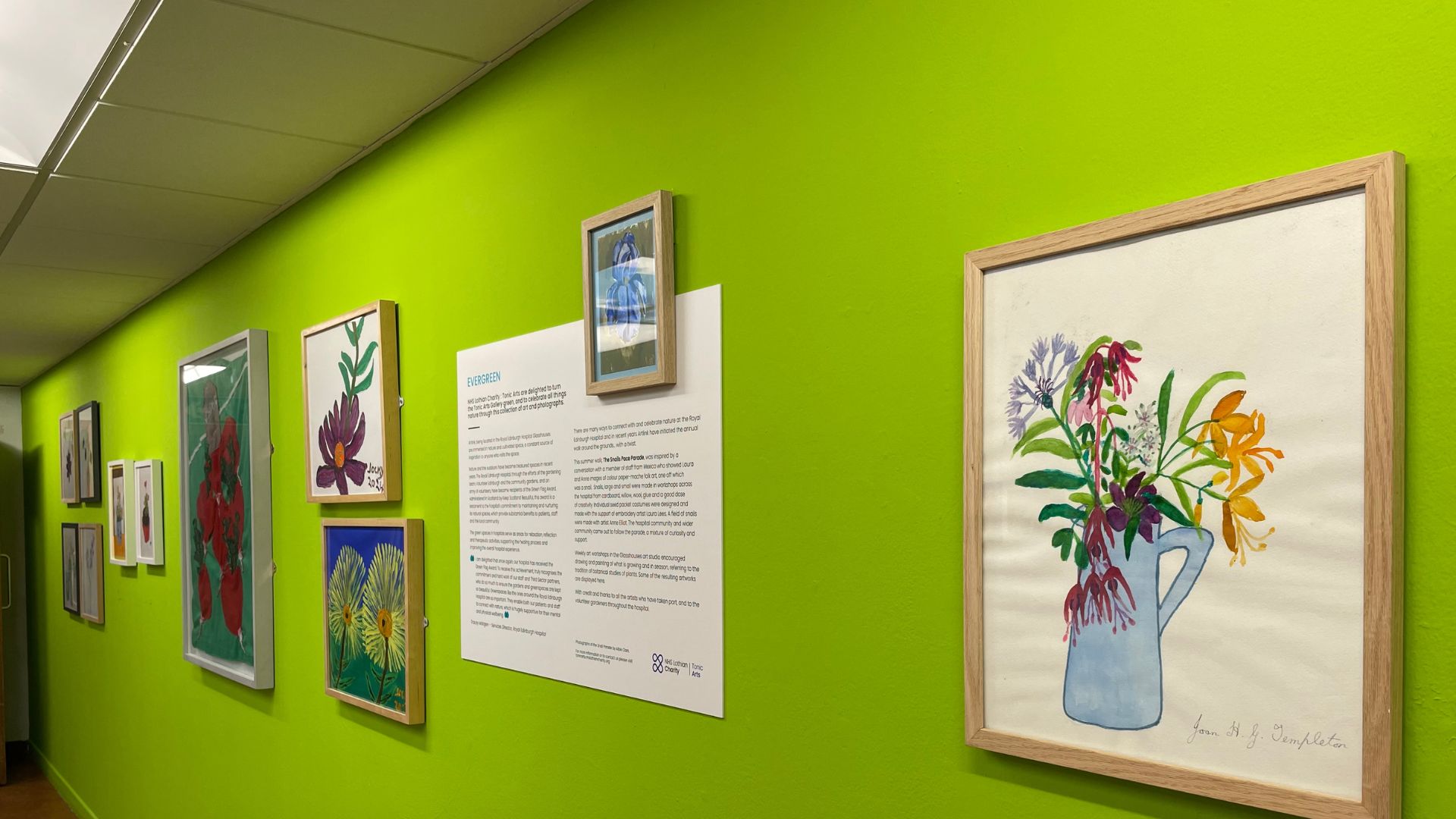Evergreen: a celebration of nature - Green Health, NHS Lothian Charity